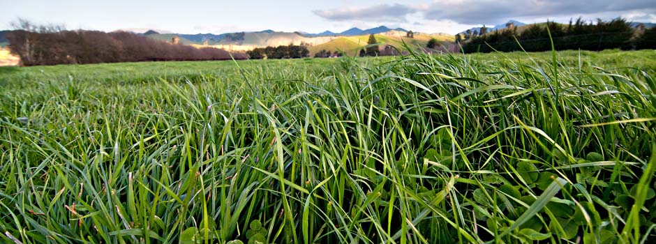 GfG_summary – Fertilizer New Zealand